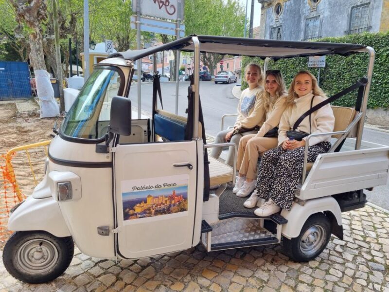 Full Day Private Tour in Sintra on a Tuk Tuk or Car - The Experience: What Travelers Say