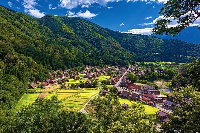 Full Day Private Tour in Takayama Old Township and Shirakawago - Why This Tour Offers Good Value