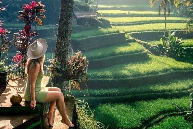 Full Day Private Tour in Ubud Jungle Swing and Waterfalls - Key Points