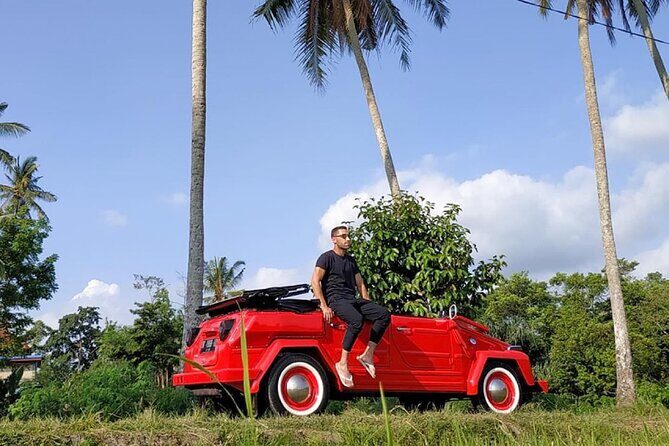 Full day Private Tour in Ubud with Classic Car - Key Points