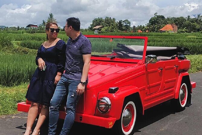 Full day Private Tour in Ubud with Classic Car - Who is This Tour Best For?