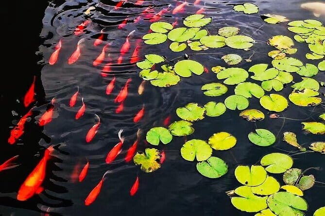 Full Day Private Tour Incredible Hangzhou Highlight - The Sum Up: Is This Tour Worth It?