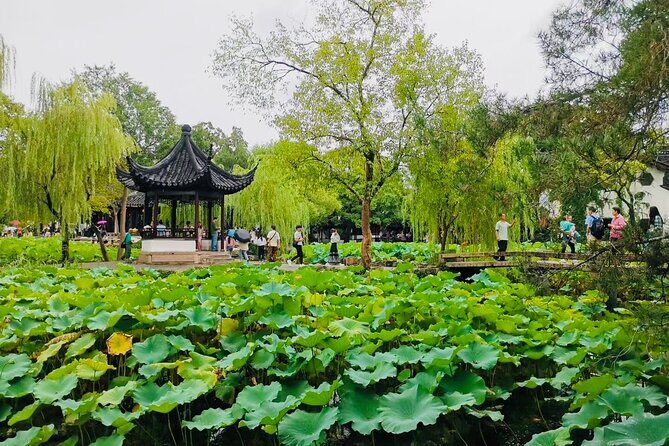 Full Day Private Tour Incredible Suzhou Highlight - This Tour’s Suitability