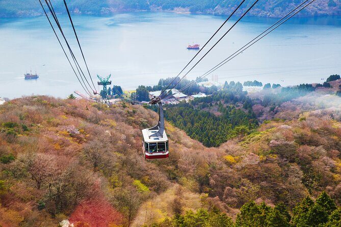 Full Day Private Tour Mt. Fuji, Hakone and Lake Ashi - The Hakone Experience: Lake Ashi or Hot Spring