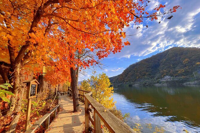 Full Day Private Tour Nami Island, Garden & Petite France - FAQ