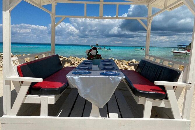 Full Day Private Tour of Bayahibe, Cotubanamá and Saona Island - An In-Depth Look at the Itinerary and Experience