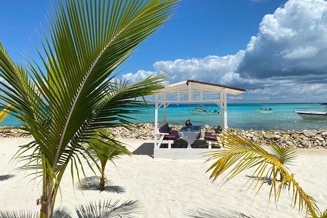 Full Day Private Tour of Bayahibe, Cotubanamá and Saona Island - The Sum Up