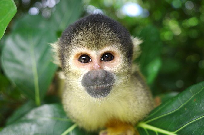 Full Day Private Tour of Ishigaki Island - Who Will Love This Tour?