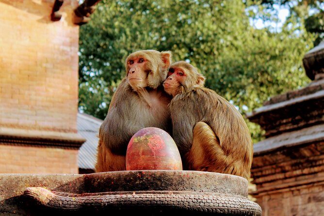 Full Day Private Tour of Kathmandu - UNESCO World Heritage Sites - Frequently Asked Questions