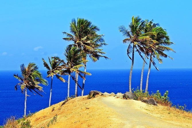 Full-Day Private Tour of Lombok Waterfalls with Japanese Guide - The Sum Up