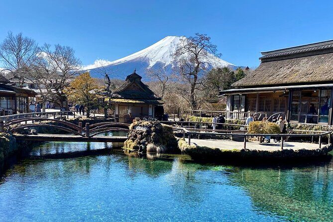 Full Day Private Tour of Mt Fuji and Hakone - Who Is This Tour Best For?