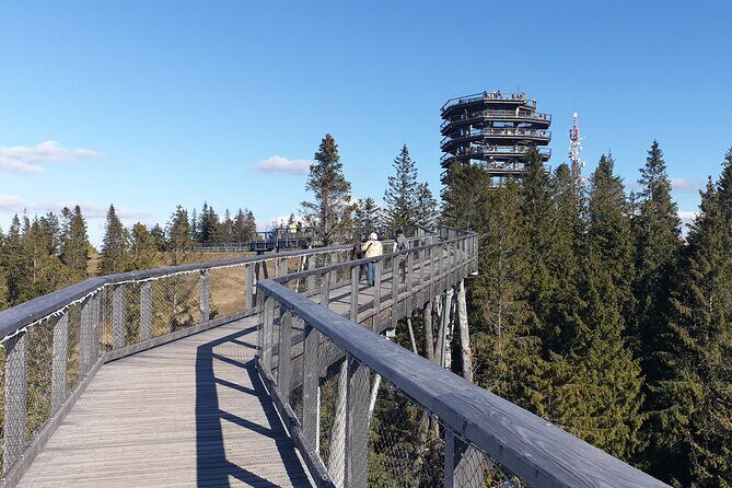 Full-Day Private Tour of Slovakia Treetop Walk and Zakopane - Exploring the Treetop Walk Bachledka in Slovakia
