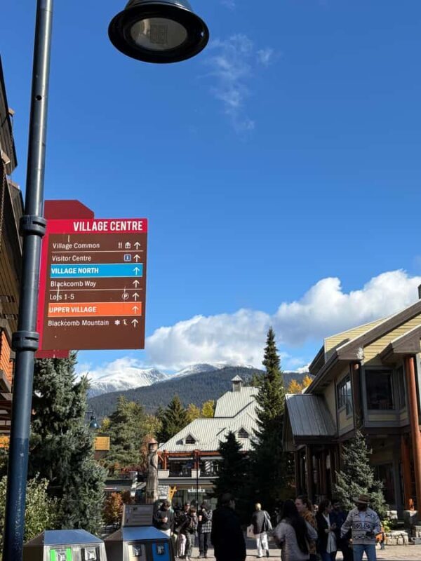 Full Day Private Tour of Whistler & Shannon Falls. - Authentic Experiences and Local Flavor