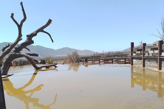 Full Day Private Tour or Guadalupe Valley Weekend - A Detailed Look at the Guadalupe Valley Private Tour