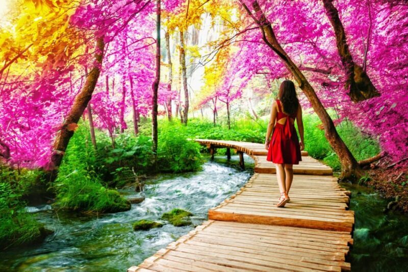 Full Day Private Tour: Plitvice Lakes & Rastoke from Zagreb - Authentic Experiences and Traveler Feedback