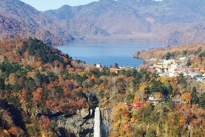 Full Day Private tour & sightseeing to Nikko(Eng speaking Driver) - The Core of the Experience: What to Expect