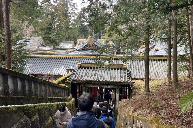 Full Day Private tour & sightseeing to Nikko(Eng speaking Driver) - Who Will Love This Tour?