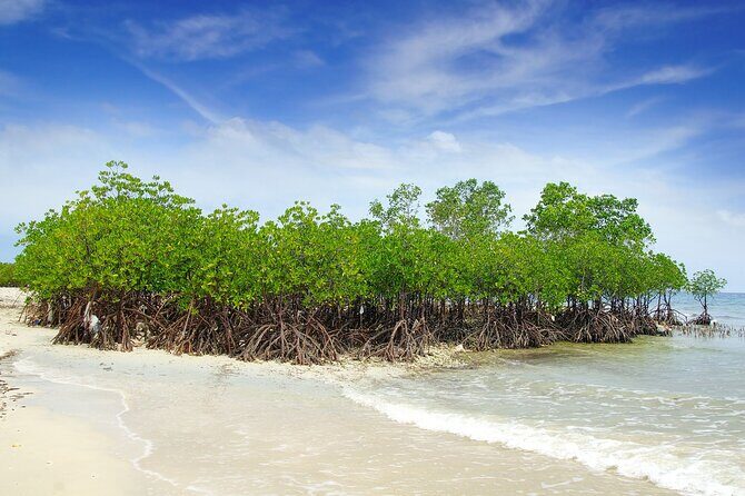 Full-Day Private Tour Siquijor Island - Key Points