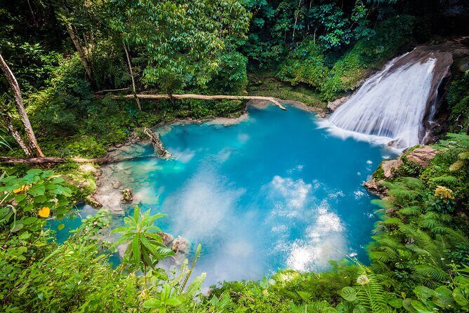 Full Day Private Tour to Blue Hole, Secret Falls & Dunn's River - Key Points