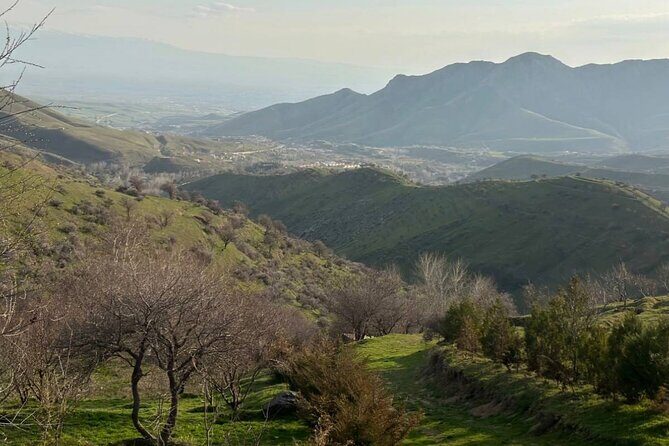 Full Day Private Tour to Fergana Valley from Tashkent - The Journey Begins: Tashkent to Kokand