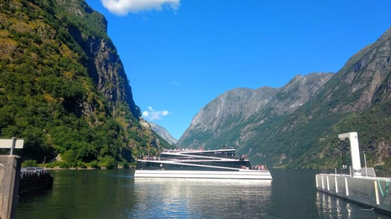 Full day private tour to Flåm - Who Should Consider This Tour?