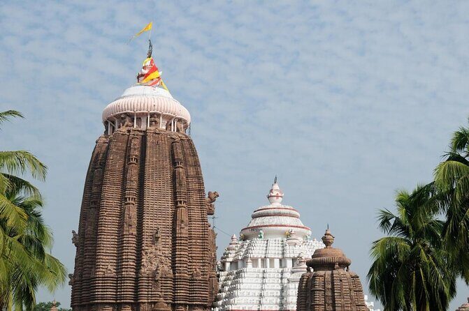 Full Day Private Tour to Konark Temple and Puri from Bhubneswar - Key Points