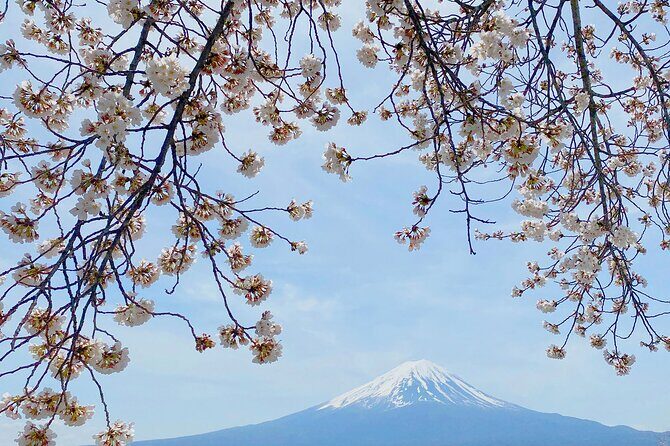 Full Day Private Tour to Mt Fuji by Luxury Vehicle - Final Thoughts