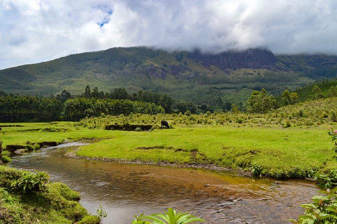 Full-Day Private Tour to Munnar from Kochi with Lunch - Introduction: Is this tour right for you?