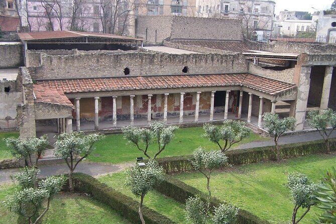 Full Day Private Tour to Pompeii, Herculaneum and Oplontis - Transportation & Comfort