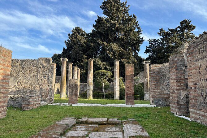 Full Day Private Tour to Pompeii, Herculaneum and Oplontis - What Reviewers Say
