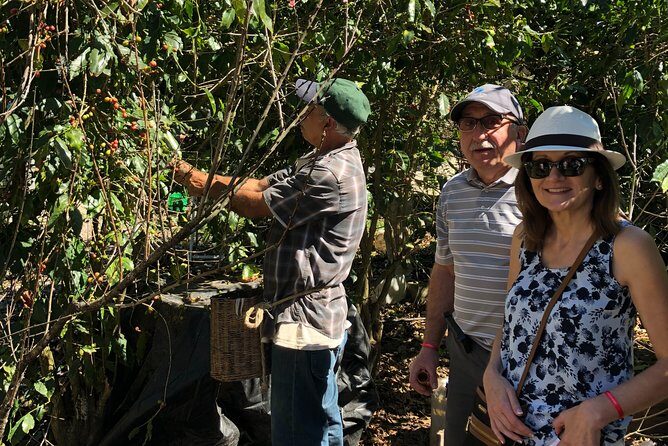 Full-Day Private Tour to San Sebastian del Oeste with Guide - FAQs