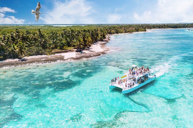 Full Day Private Tour to Saona Island - Introducing the Full Day Private Tour to Saona Island