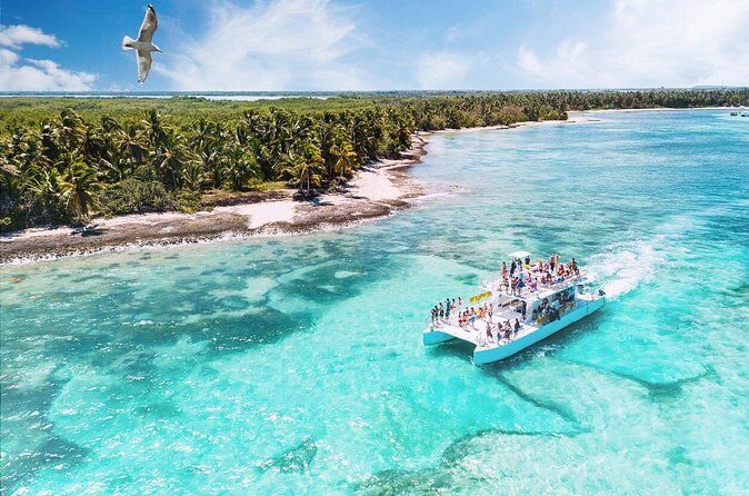 Full Day Private Tour to Saona Island - Analyzing the Value
