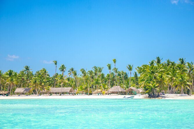 Full Day Private Tour to Saona Island - Who Should Consider This Tour?