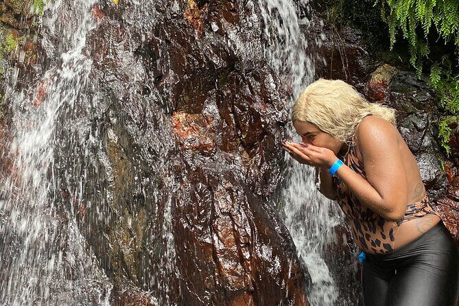 Full-Day Private Tour to Tinajas Waterfalls in El Yunque - Key Points