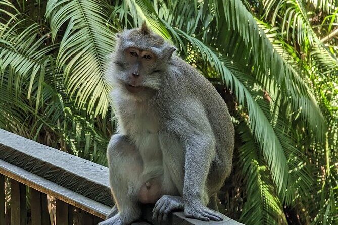 Full Day Private Tour to Ubud Waterfall and Tanah Lot Sunset - The Sum Up