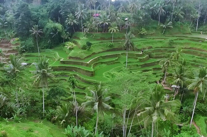 Full Day Private Tour to Ubud Waterfall and Uluwatu Sunset - Who Will Love This Tour?
