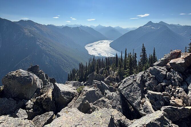 Full Day Private Tour to Victoria and Butchart Gardens - Who Will Love This Tour?