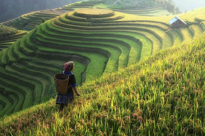 Full-Day Private Trekking Adventure in Sapa - Whats Included and What to Consider