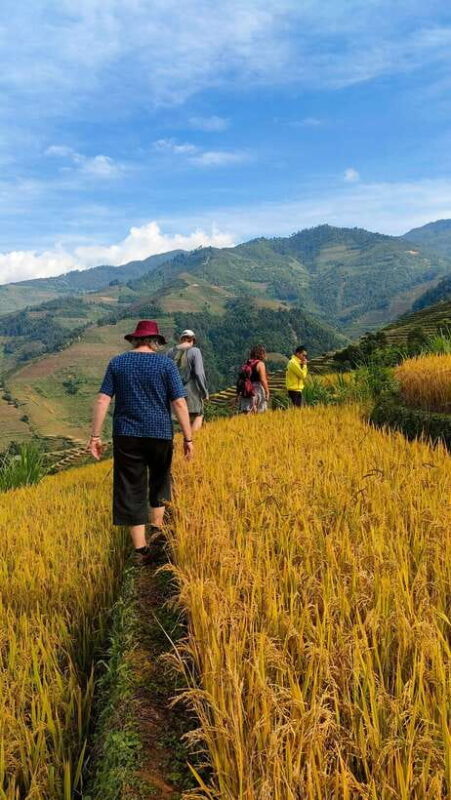Full Day Private Trekking Mu Cang Chai - Exploring the Full Day Private Trekking in Mu Cang Chai