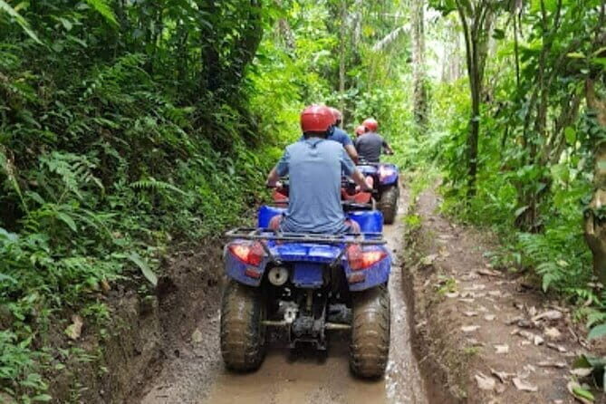 Full-Day Private Ubud ATV and Tubing Adventure - What Makes This Tour Stand Out?
