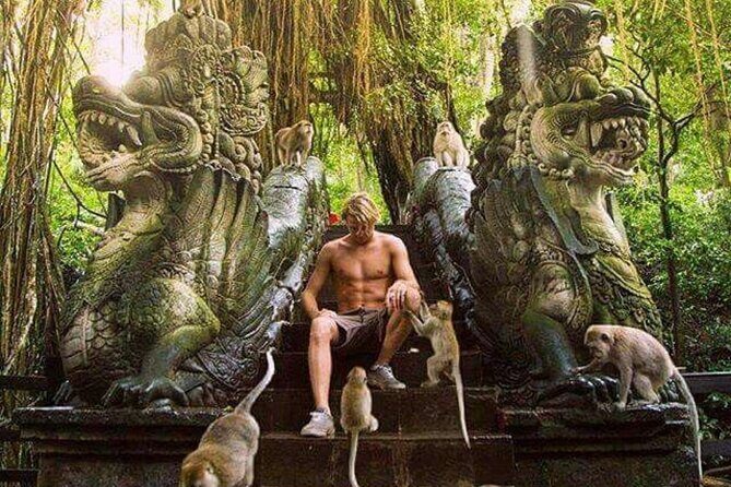 Full Day Private Ubud Tour - All Inclusive - What Makes This Tour Stand Out?