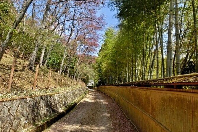 Full Day Private Walking Day Tour in Kyoto with Tea - Key Points