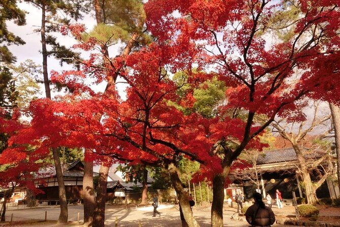 Full Day Private Walking Day Tour in Kyoto with Tea - Practical Details and Value