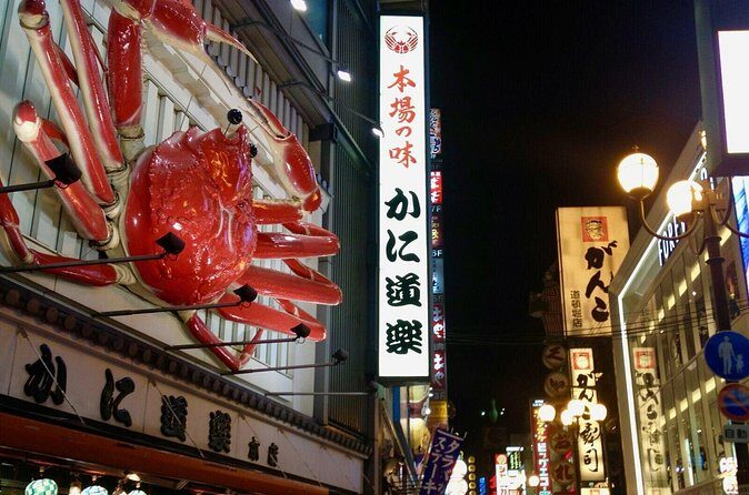 Full Day Private walking Tour in Osaka - Practicalities and Logistics