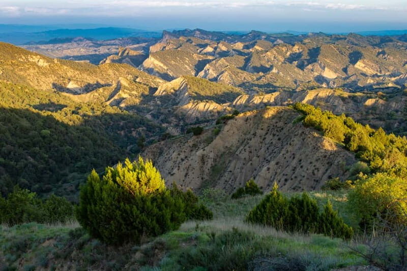 Full-day Private Wilderness tour in Vashlovani National Park - A Close Look at the Full-day Private Wilderness Tour in Vashlovani National Park