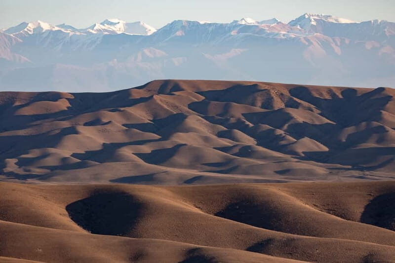 Full-day Private Wilderness tour in Vashlovani National Park - How It All Adds Up: The Value of This Tour