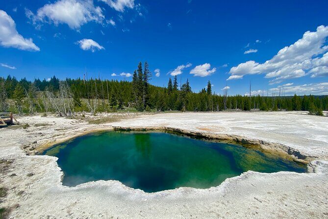 Full Day Private Wildlife/Geyser Tour from West Yellowstone - An Immersive Tour with Plenty of Highlights