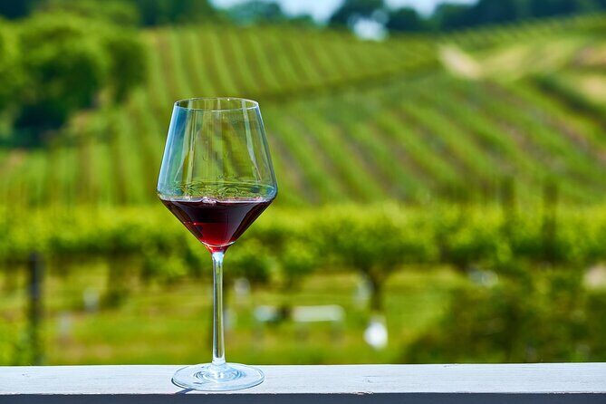 Full Day Private Willamette Valley Wine Tour from Portland - An In-Depth Look at What Makes This Tour Special