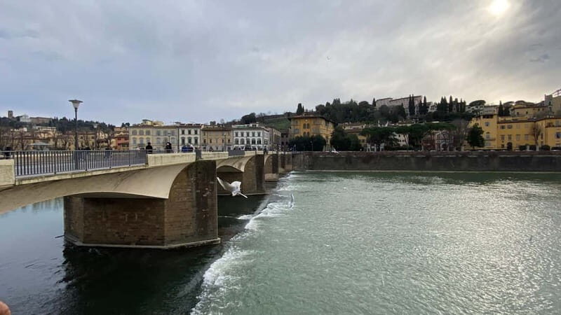 Full Day Private Wine Tasting in Chianti from Florence - Key Points
